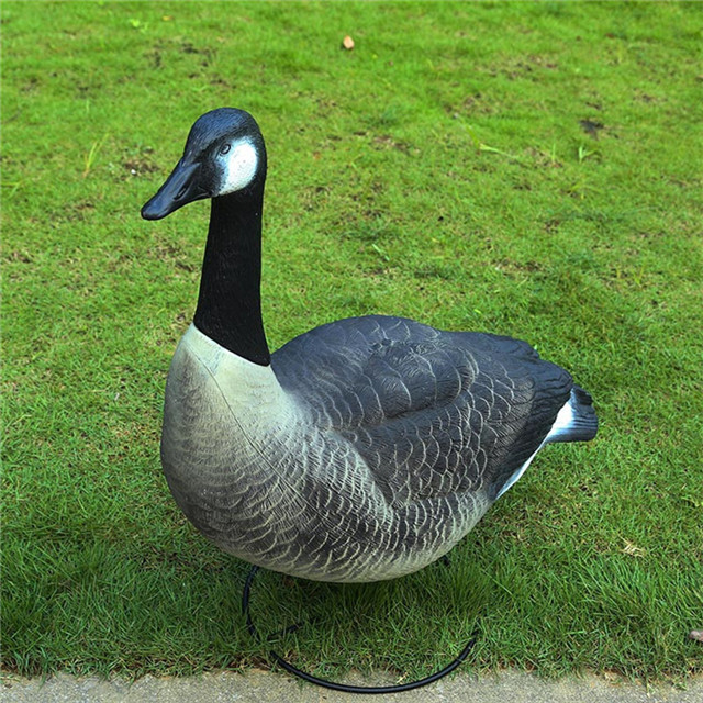 Simulation Outdoor Hunting Decoy Plastic Bait Canada Goose Animal Mould ...